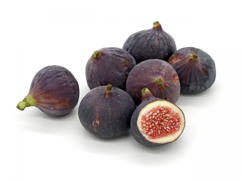Fig – Planafarm – Together for a sustainable agribusiness